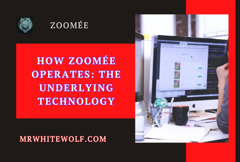 Zoomée: Everything you need to know - MR WHITE WOLF
